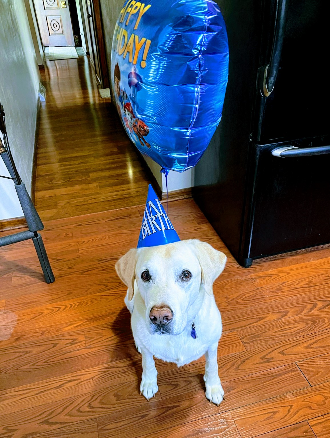 Happy Birthday Deuce! • Farmhouse Magic Blog