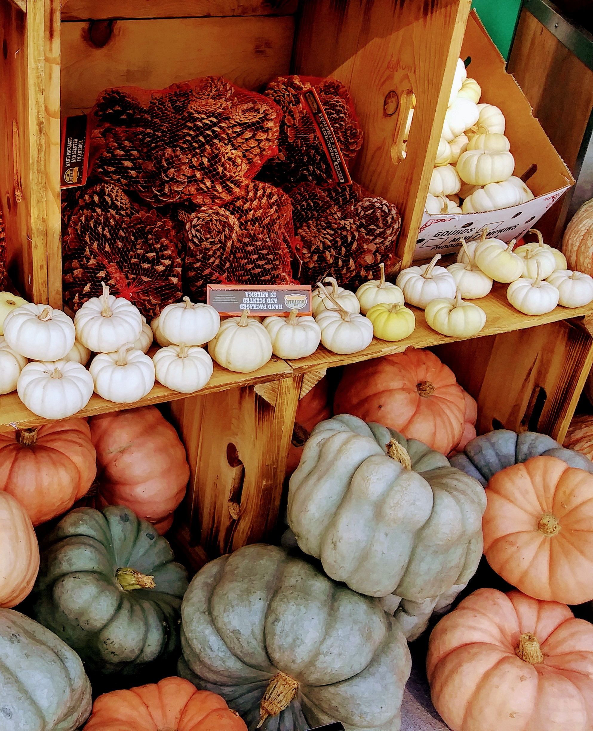 Sprouts Fall Display • Farmhouse Magic Blog