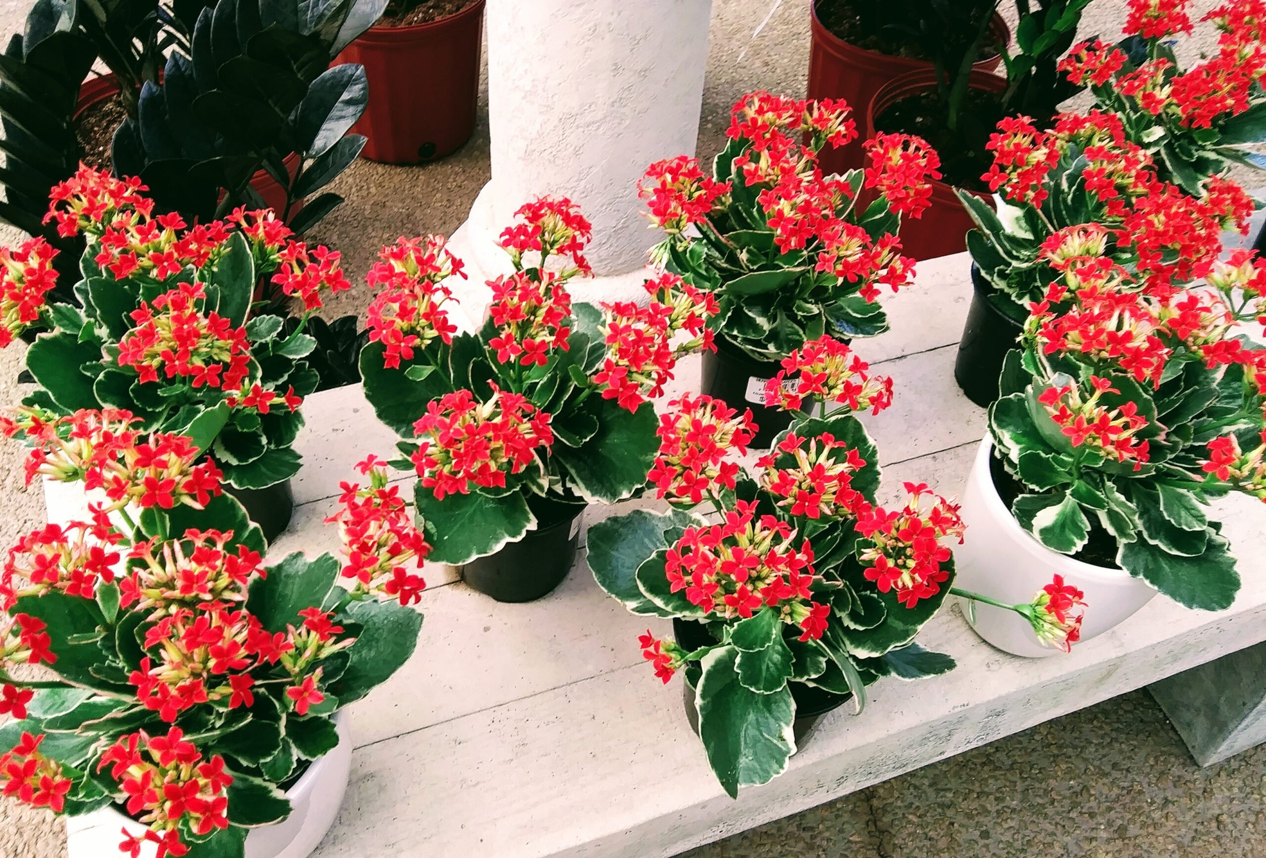 Topsy-Turvy Tree • Farmhouse Magic Blog