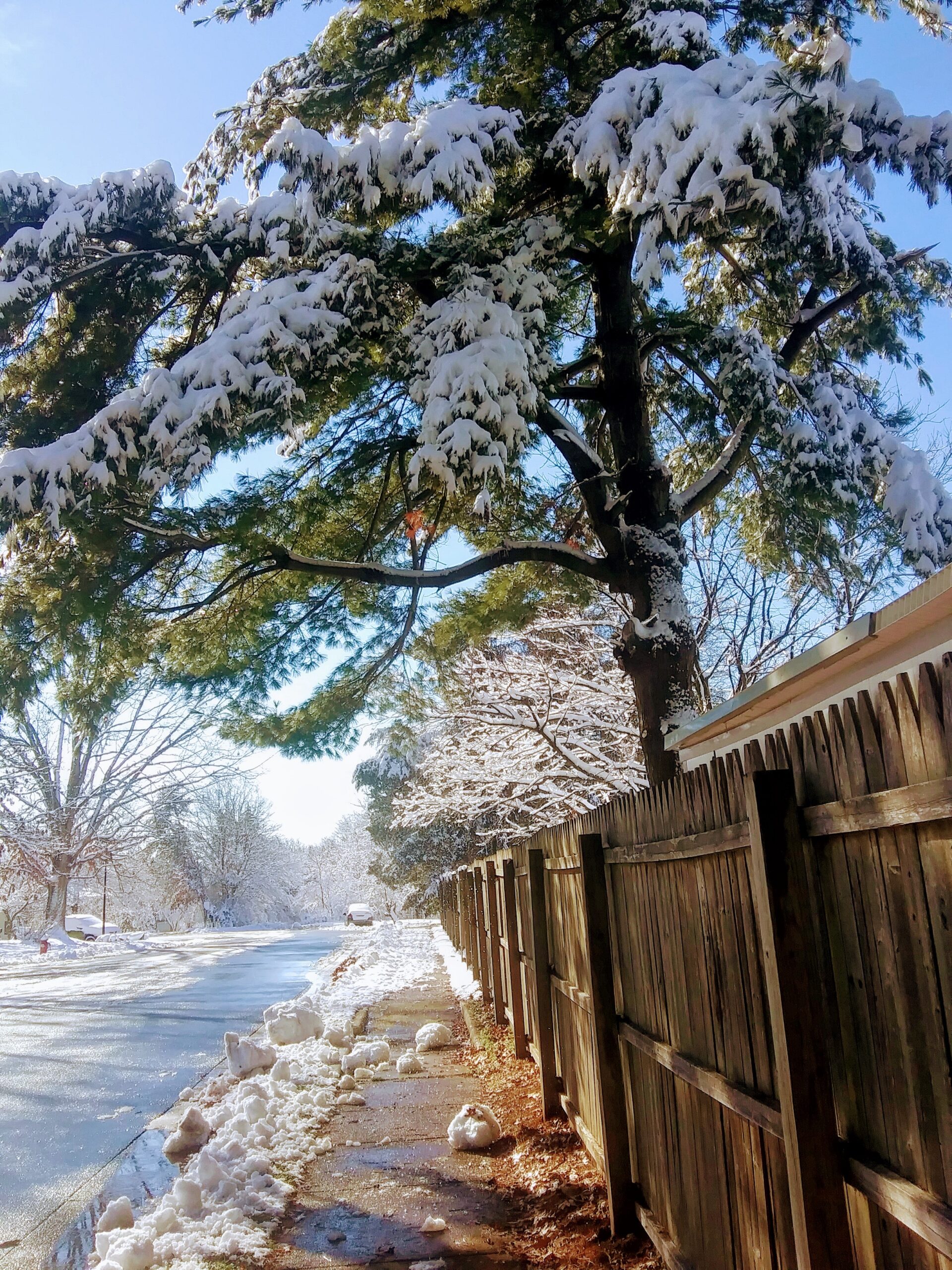 Winter Storm Clean Up • Farmhouse Magic Blog