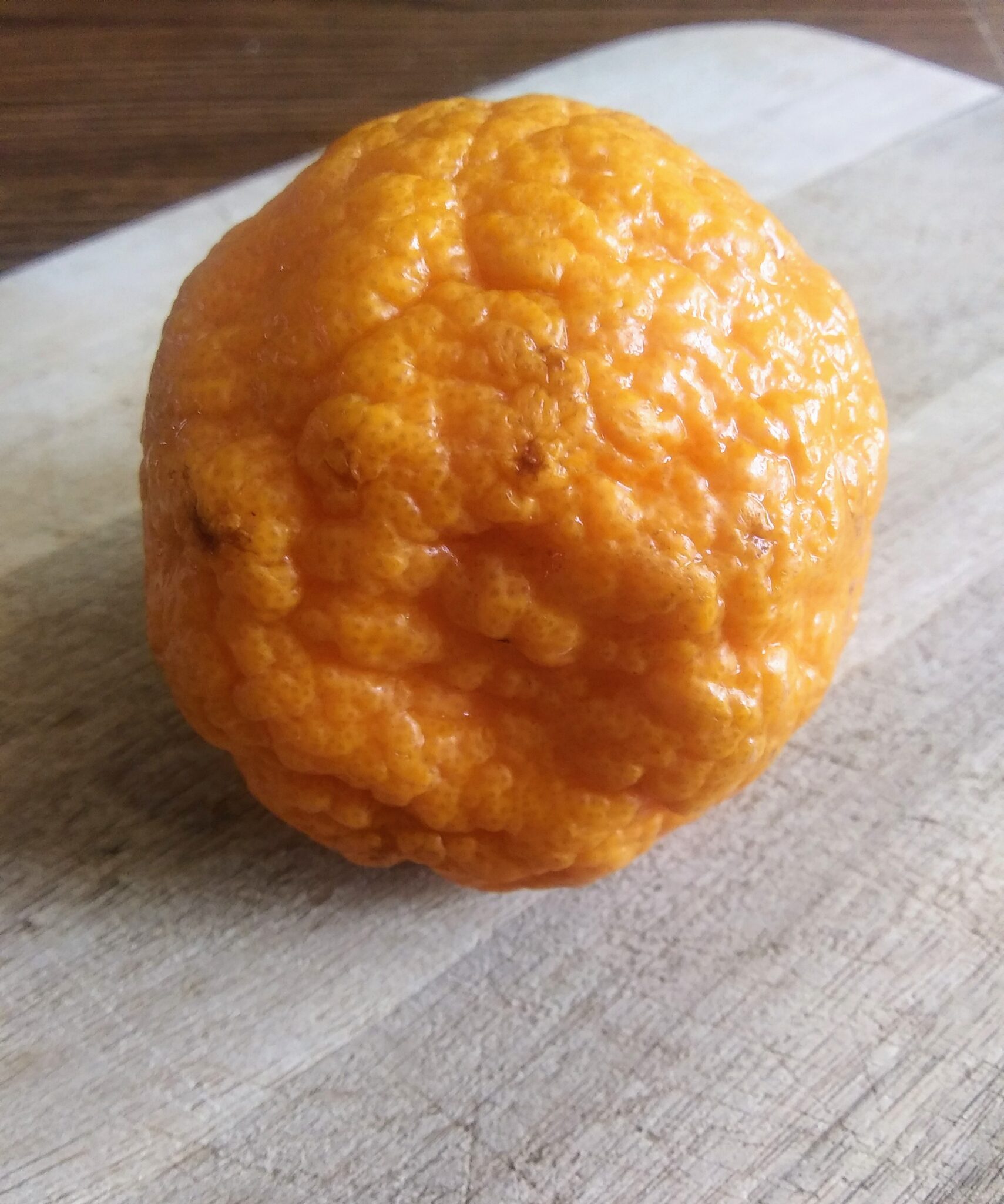 Golden Nugget Mandarins • Farmhouse Magic Blog