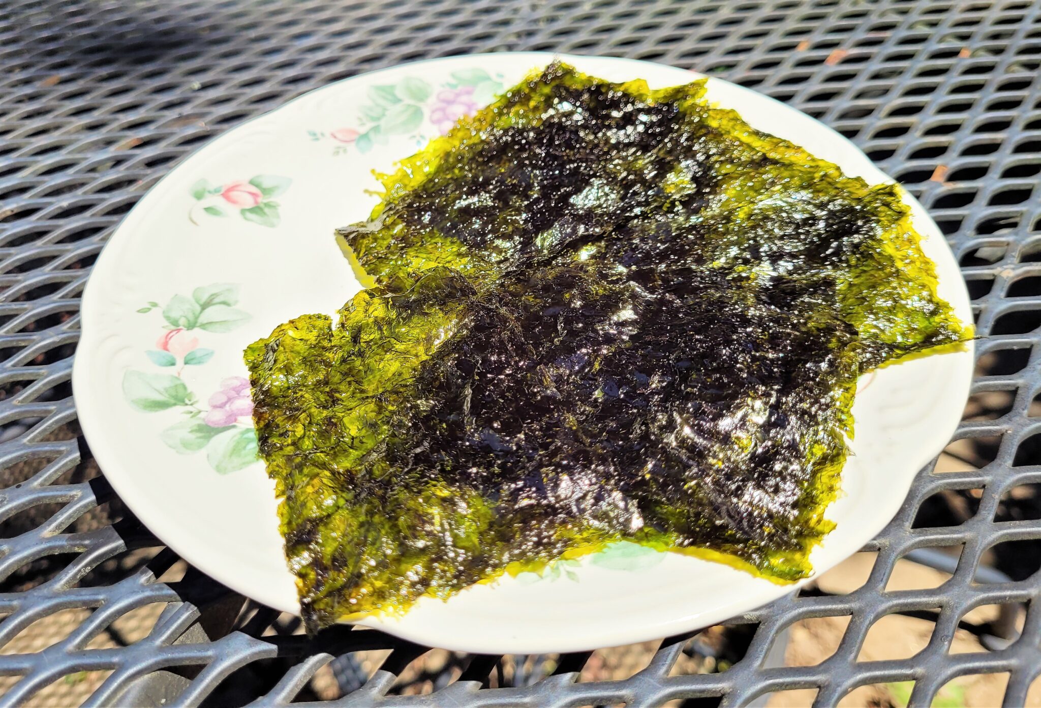 Seaweed • Farmhouse Magic Blog