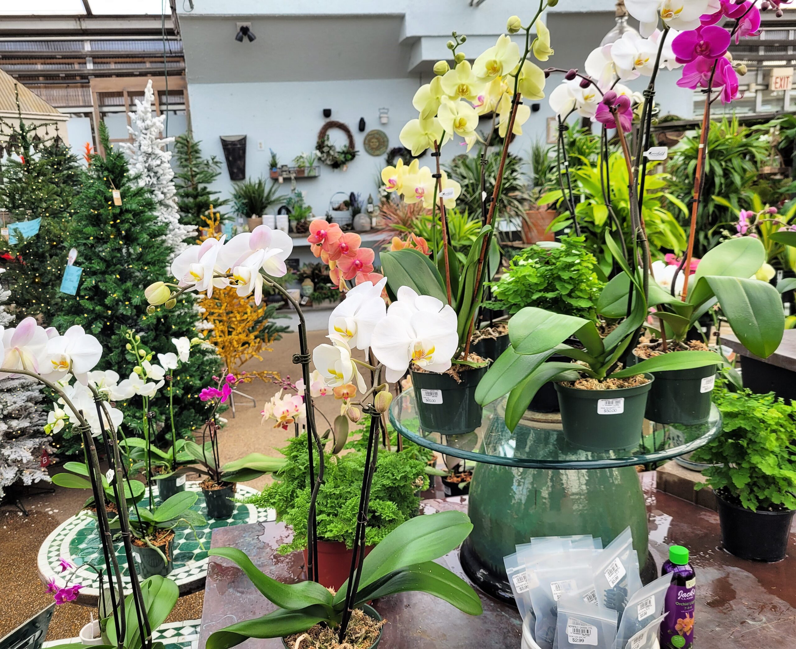 After Christmas Sales • Farmhouse Magic Blog