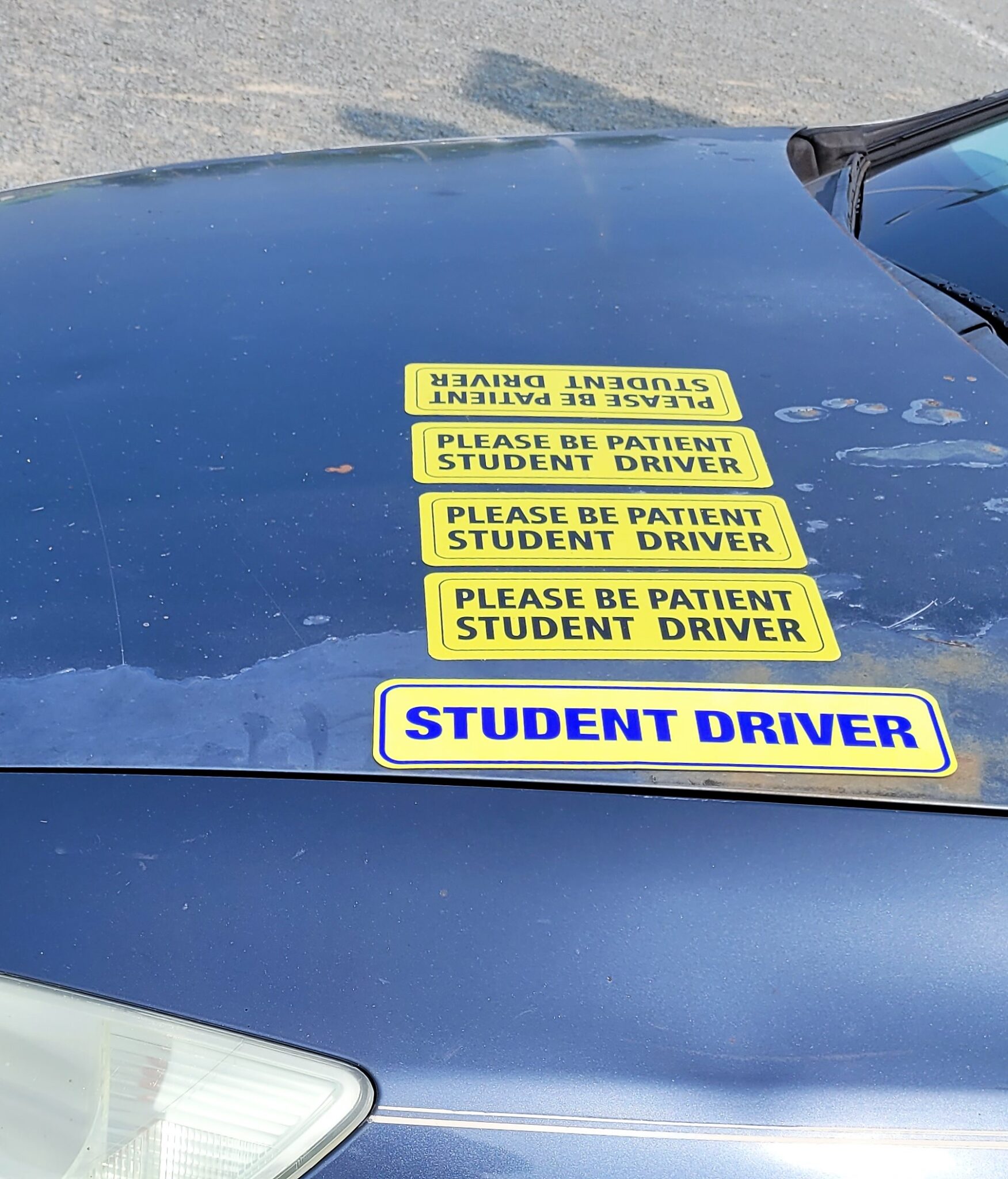 Student Driver • Farmhouse Magic Blog