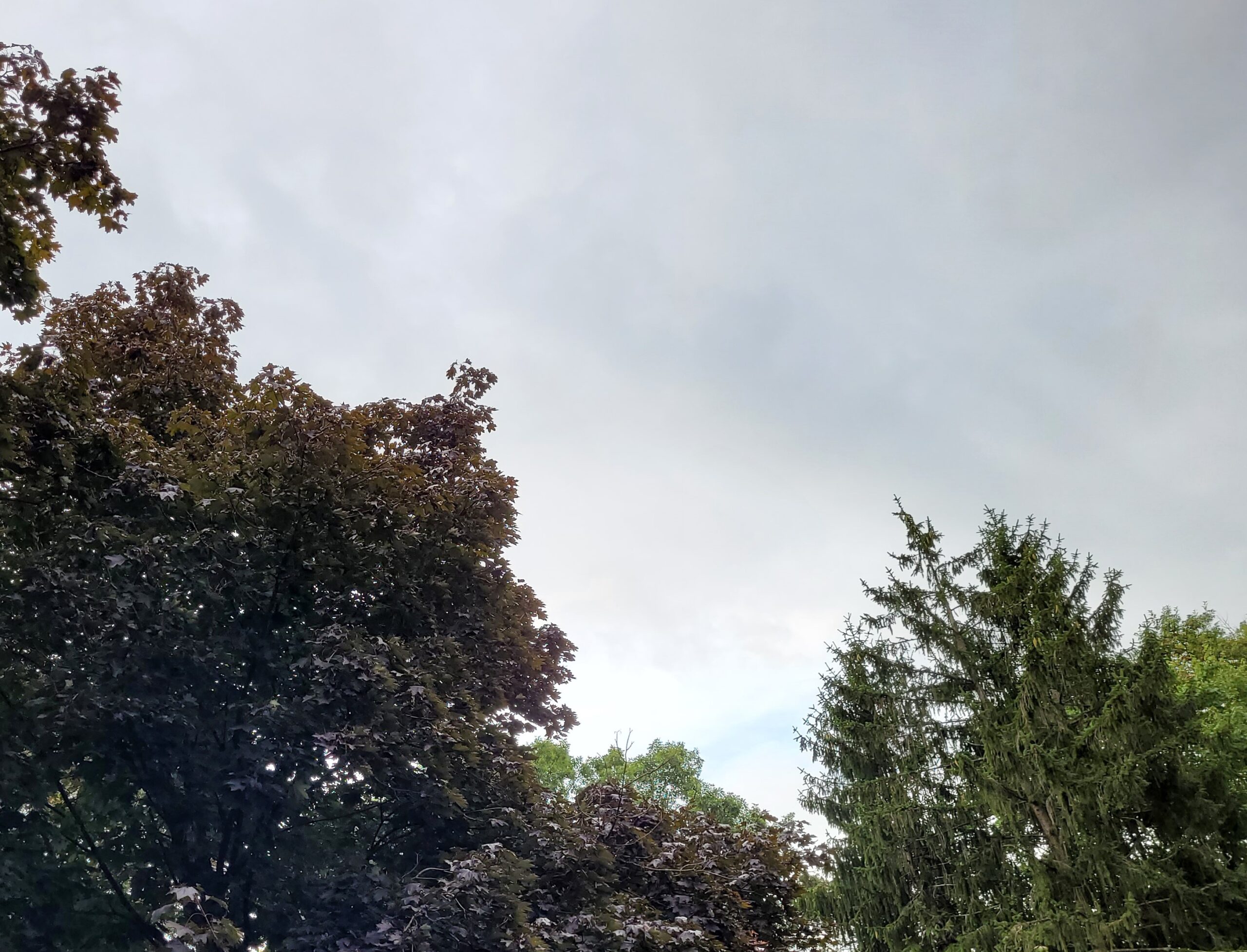 Dulles Solar • Farmhouse Magic Blog