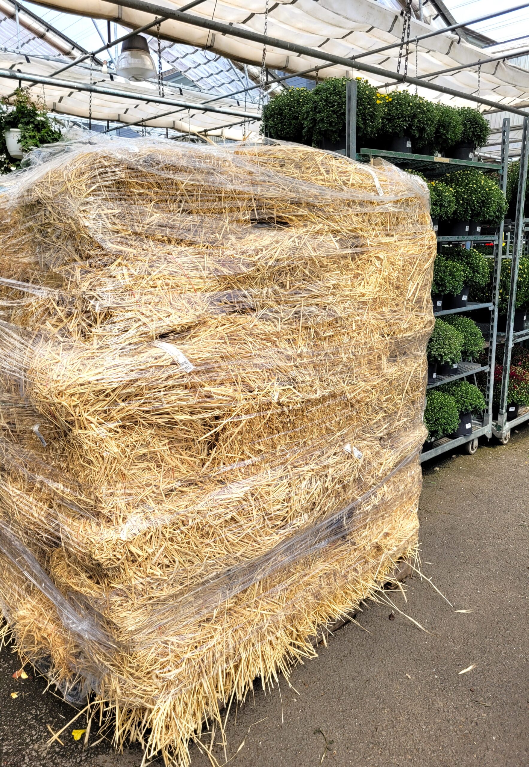 Halloween, Pumpkins, and Hay • Farmhouse Magic Blog