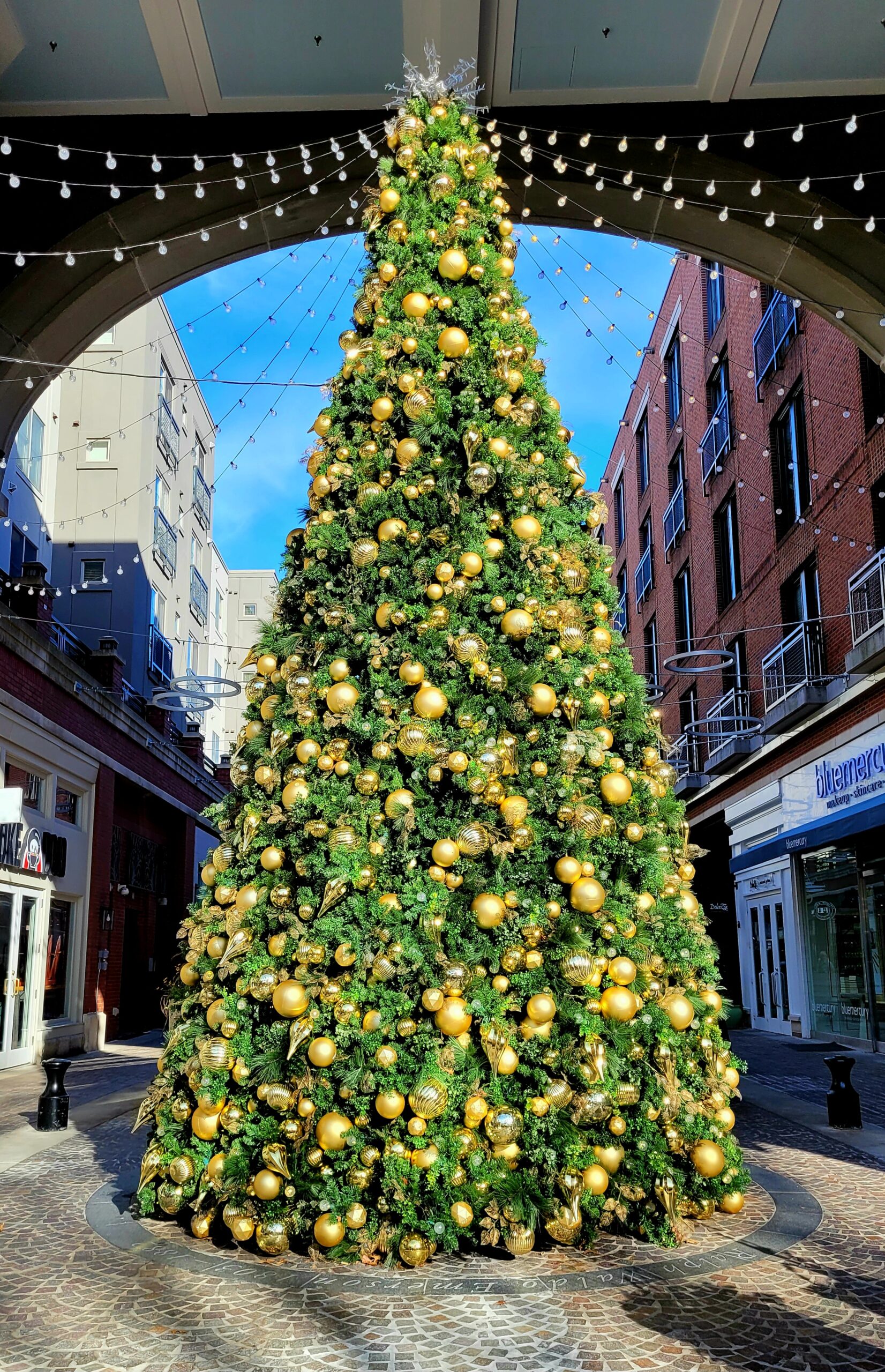 Visiting Bethesda • Farmhouse Magic Blog