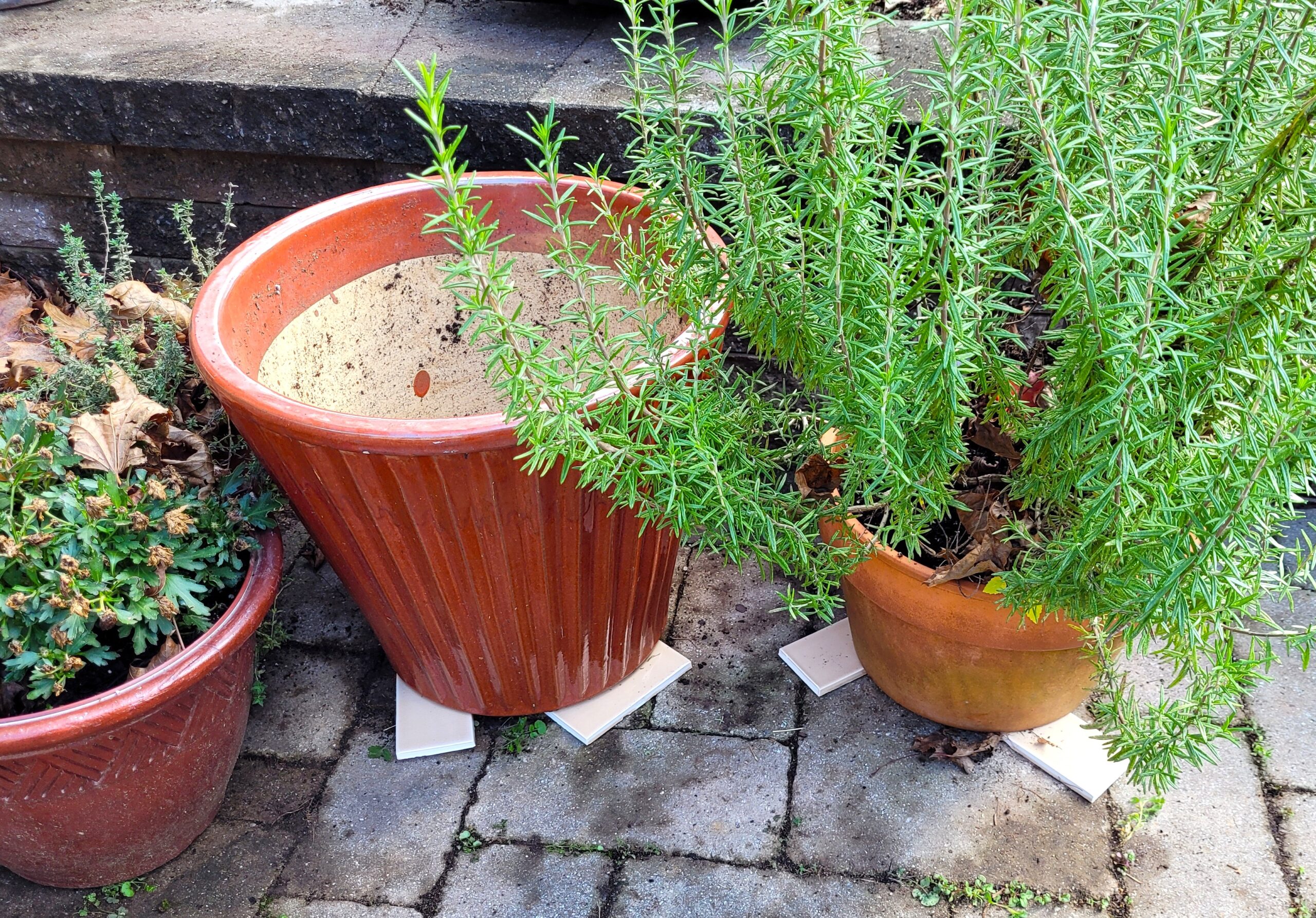 Over Winterizing Planters • Farmhouse Magic Blog