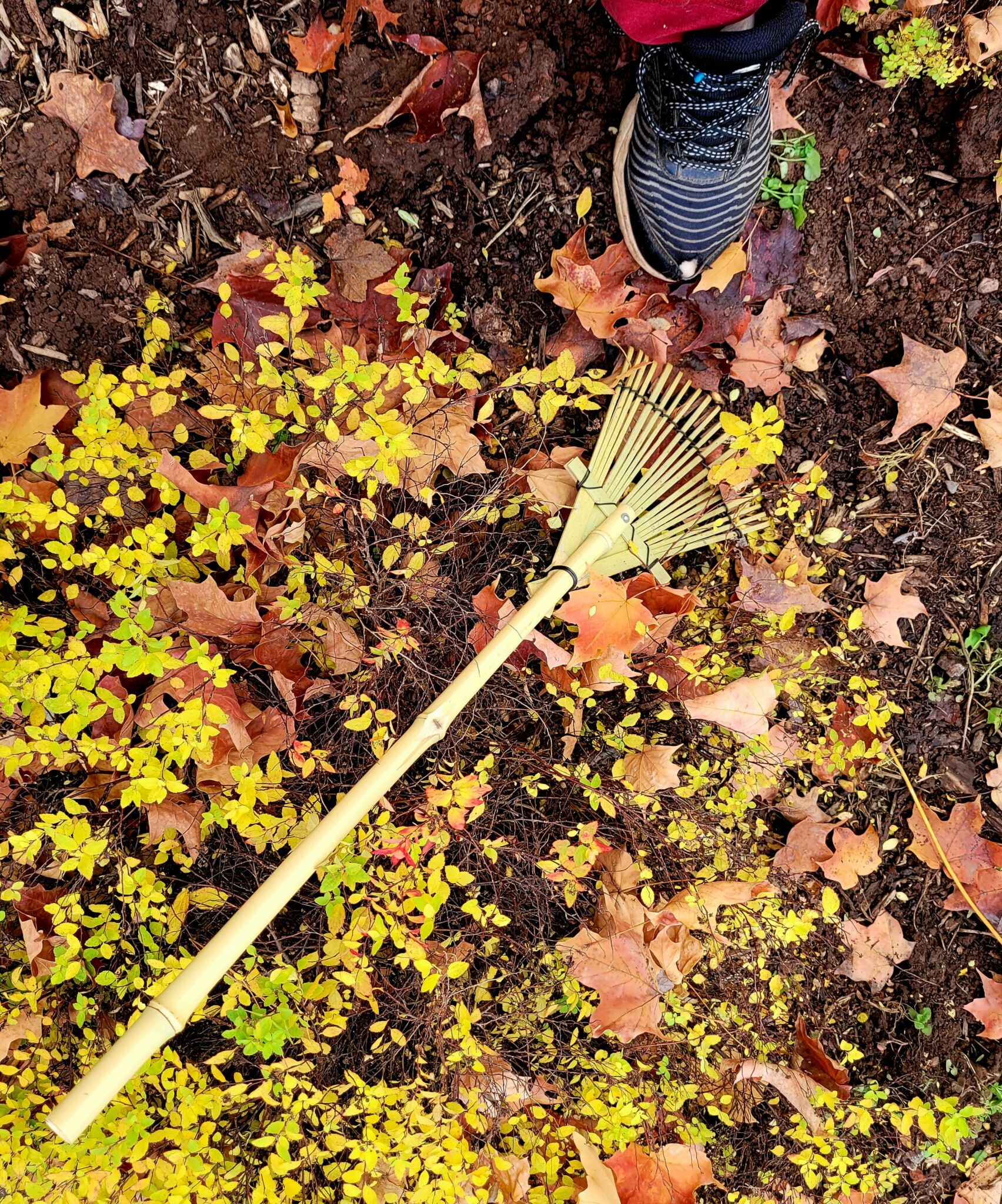 The Mini Rake • Farmhouse Magic Blog