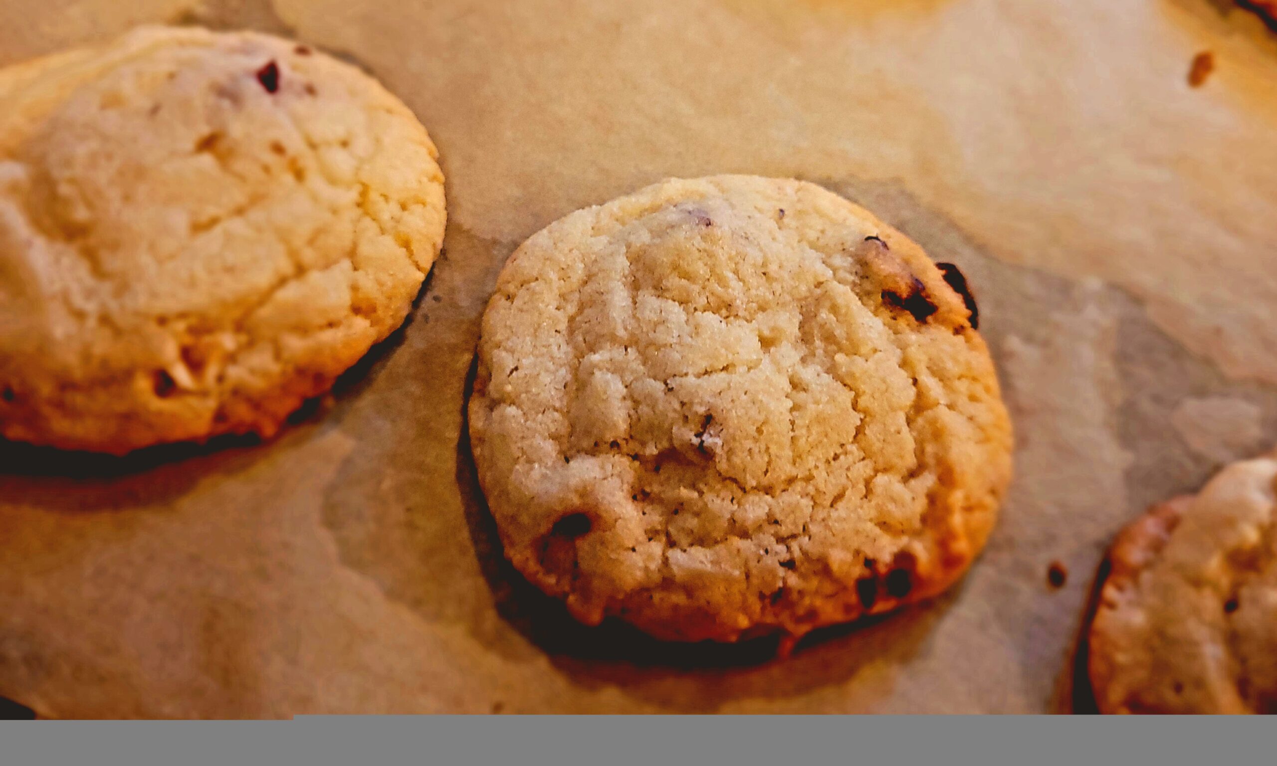 Easy Cranberry Cookies • Farmhouse Magic Blog