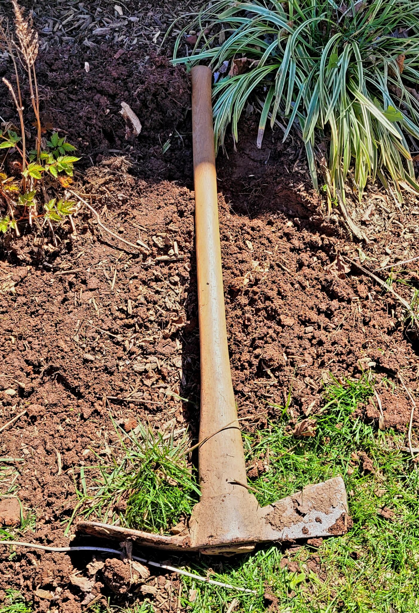 Goodby Tree Roots • Farmhouse Magic Blog