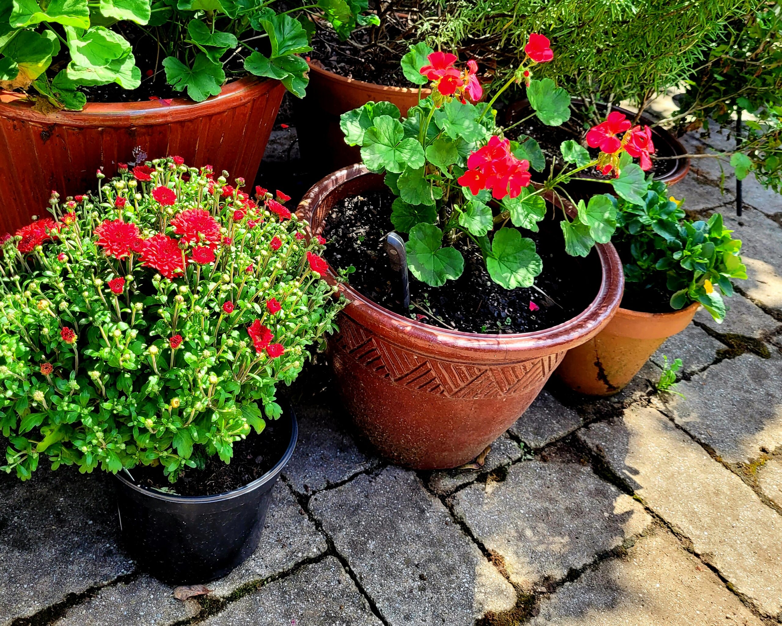 The First Mum • Farmhouse Magic Blog