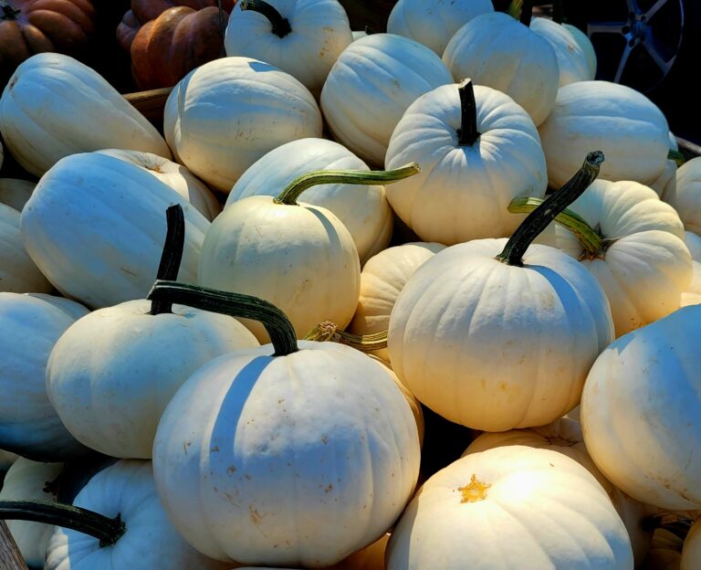 Pumpkin Color Choices • Farmhouse Magic Blog
