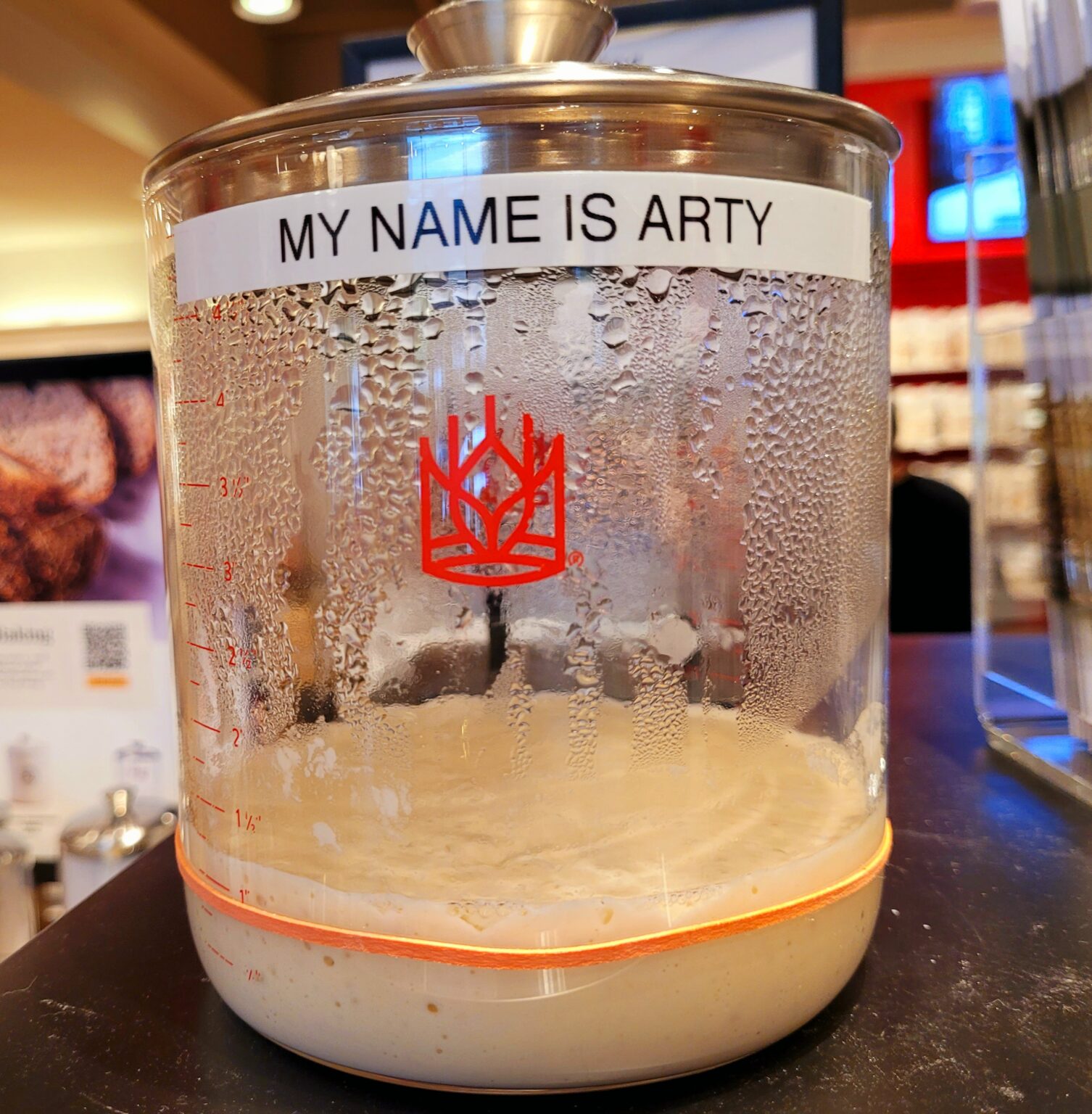 Sourdough Starter • Farmhouse Magic Blog